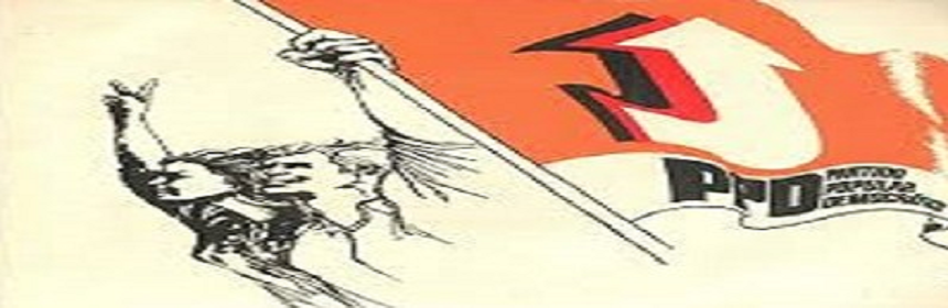 PPD / PSD | José Fidalgo